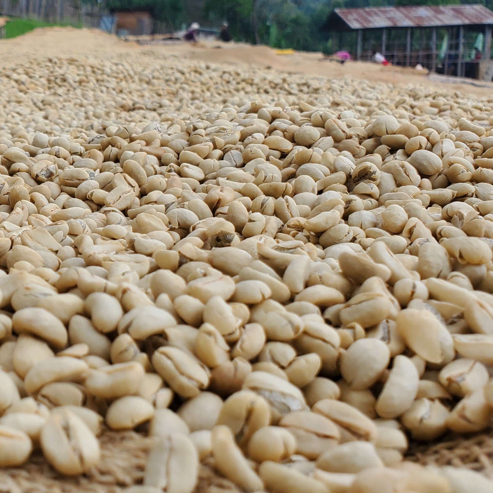 Maison P. Jobin & Cie S.A.S.